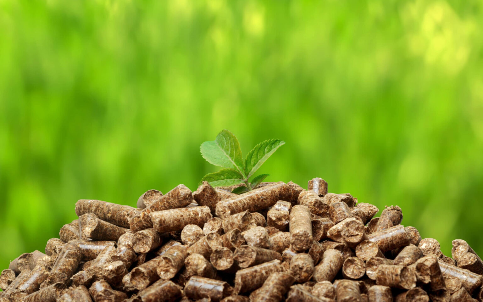 WHAT IS BIOMASS – THERMASIS, Biomass Boilers & Stoves